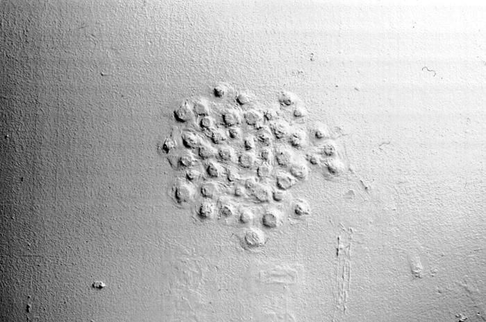 Wall Work | Shoshana Brand